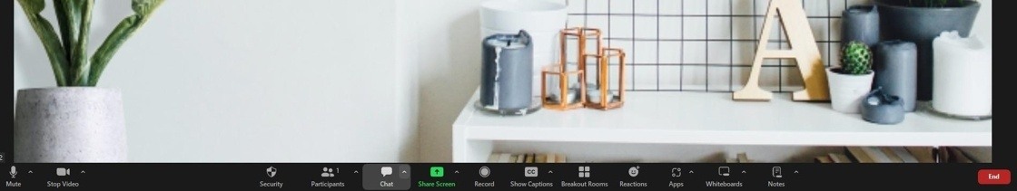 Managing Zoom Telehealth Pro Sessions